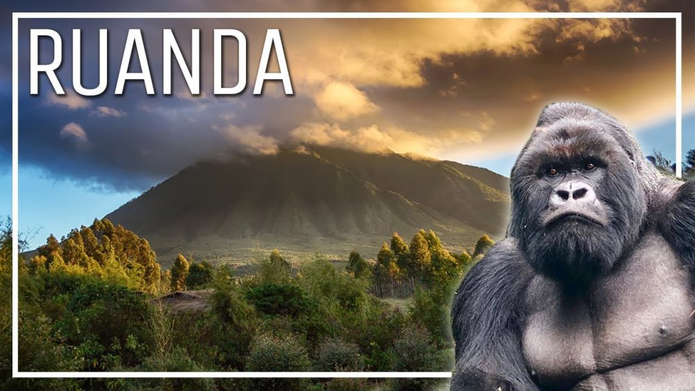 Descubre la Experiencia Única de Visitar Ruanda: Guía de Viaje y ...